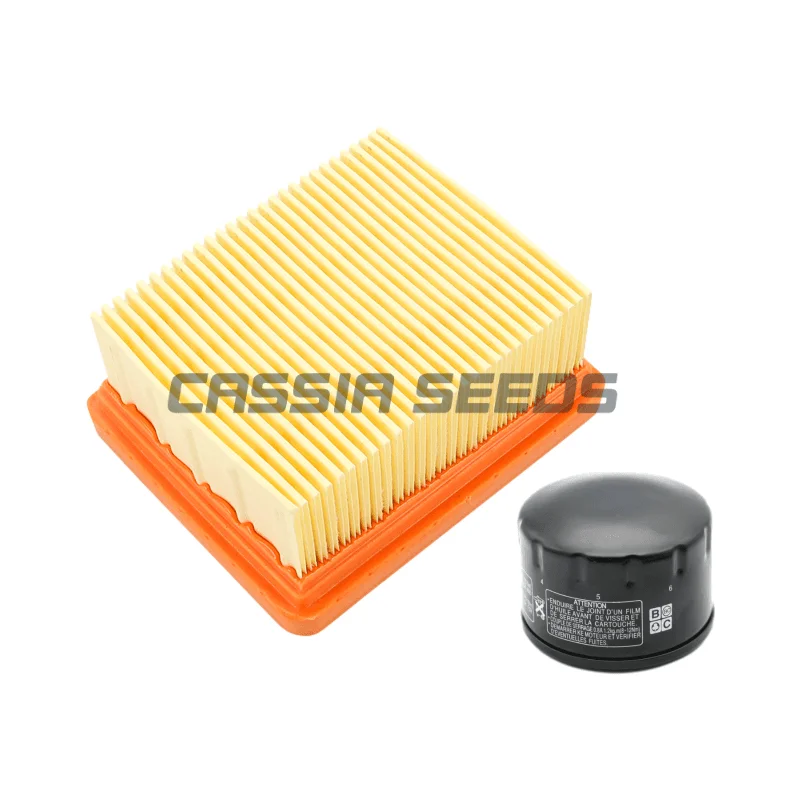 Applicable-to-BMW-G310GS-G310R-G310-GS-R-2017-2022-Motorcycle-Engine ...