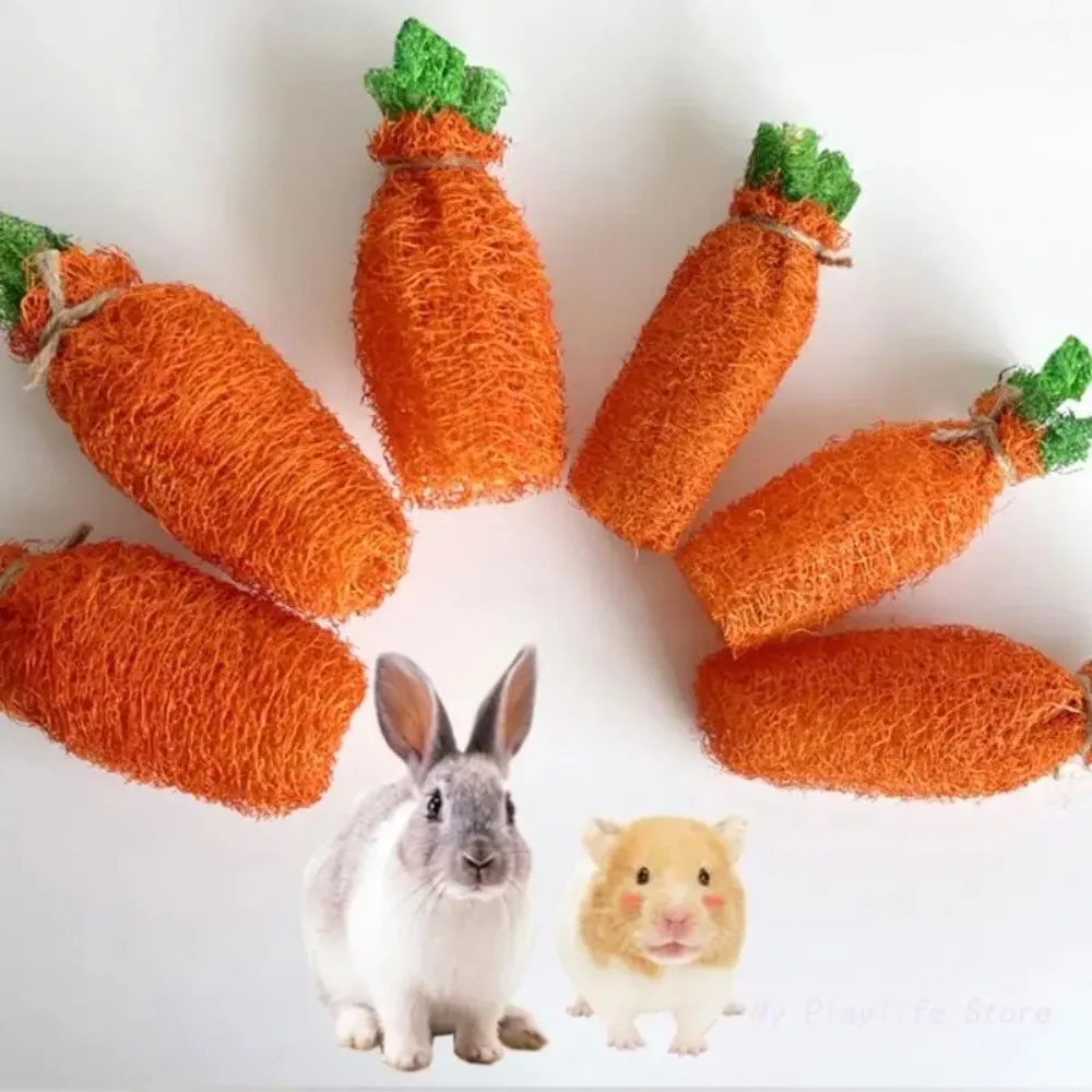 Loofah-Carrot-Chew-Toy-for-Small-Pet-Chinchilla-Guinea-Pigs-Rabbit ...