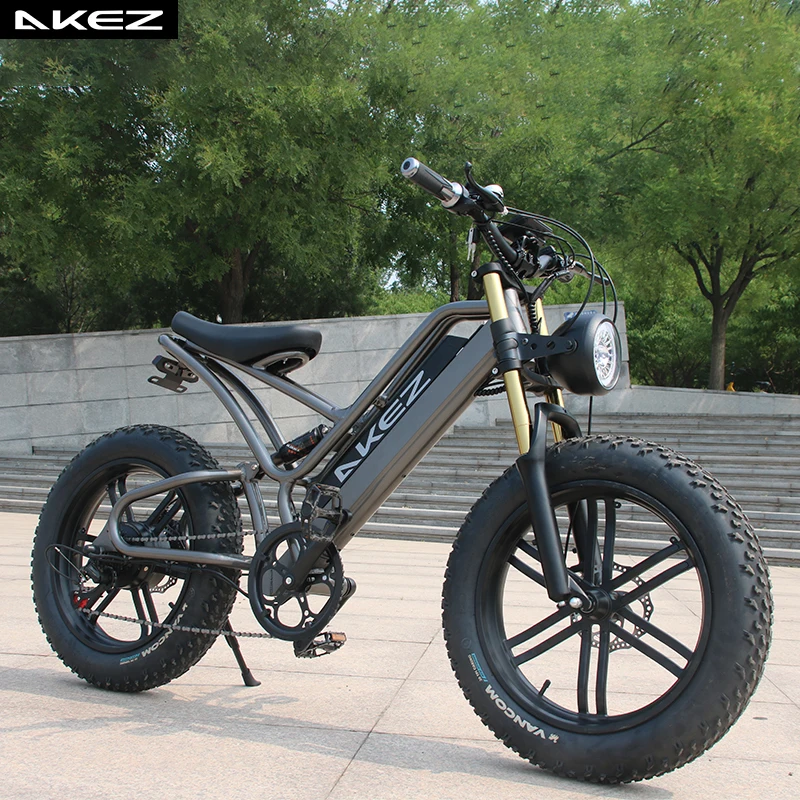 AKEZ-20-Inch-Adult-Electric-Bicycle-48V-Lithium-Battery-Aluminum-Alloy ...