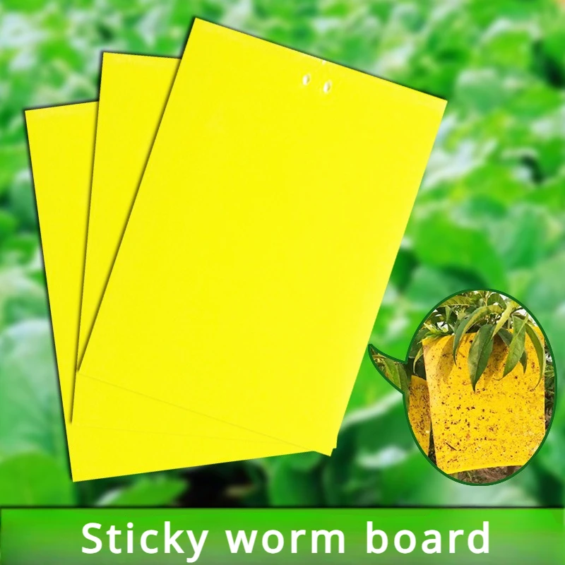 Garden-Double-Sided-Glue-Paper-Glue-Catcher-Sticky-Boards-Sticky-Traps ...