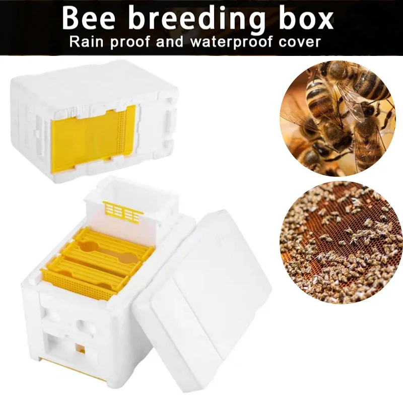 Queen-Rearing-Bee-Breeding-Box-Beehive-Holder-Beekeeping-Feeder-Foam ...