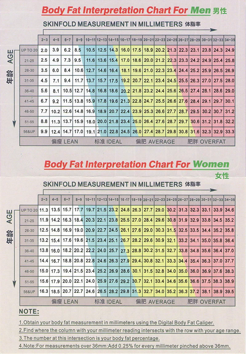 Body Fat Interpretation Chart