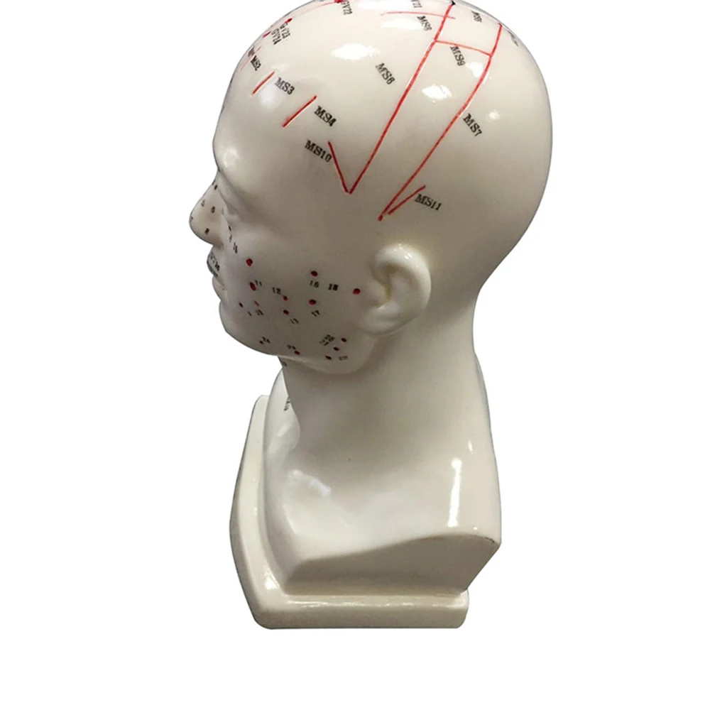 Face Meridians