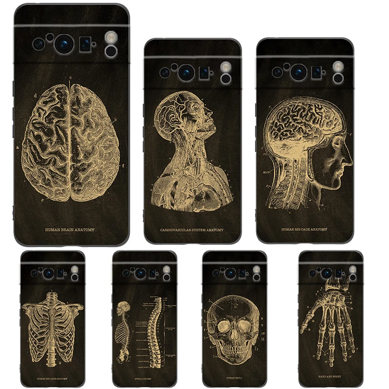 Anatomy Skeleton Chalkboard Body Heart Phone Case For Google Pixel 8 7 ...