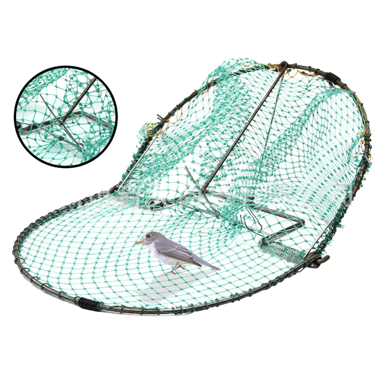 Colapsible Quail Trap