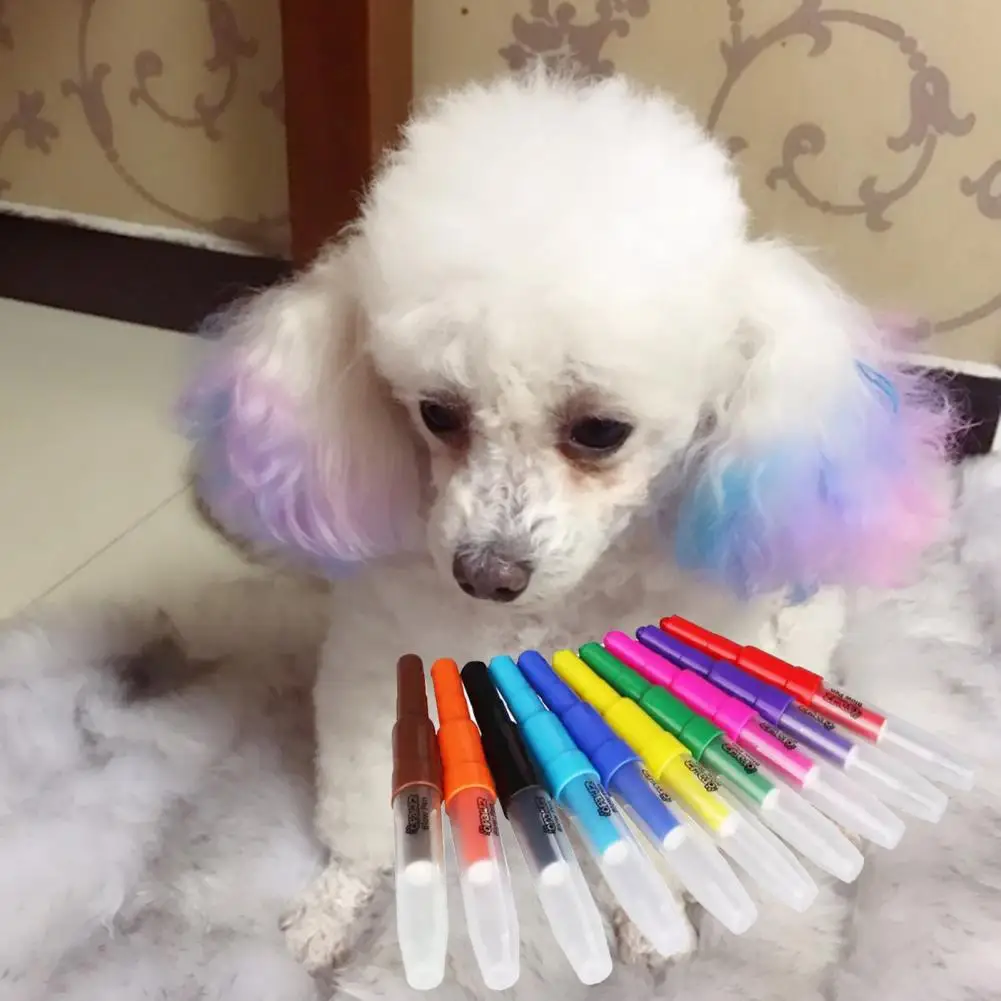 Rainbow Chalk Dog