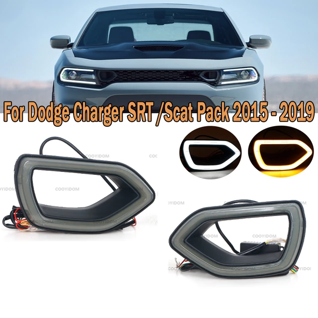 Side View Dodge Charger Grill