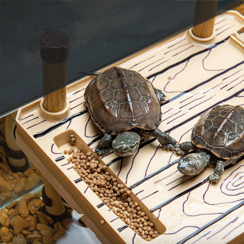 Turtle-Basking-Terrace-Brazilian-Water-Turtle-Floating-Island-Turtle ...