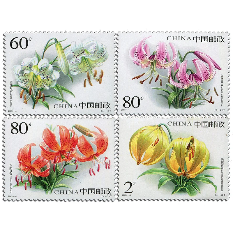 2003-4 , Lily . Post Stamps , Philately , Postage , Collection ...