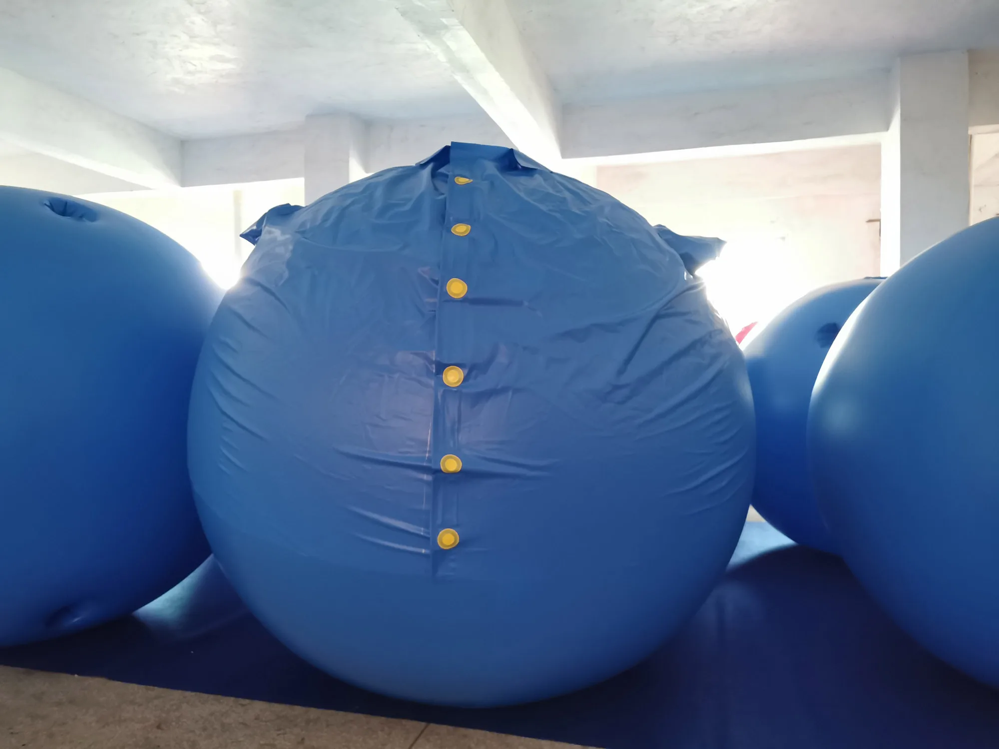 Blueberry Inflation Suit