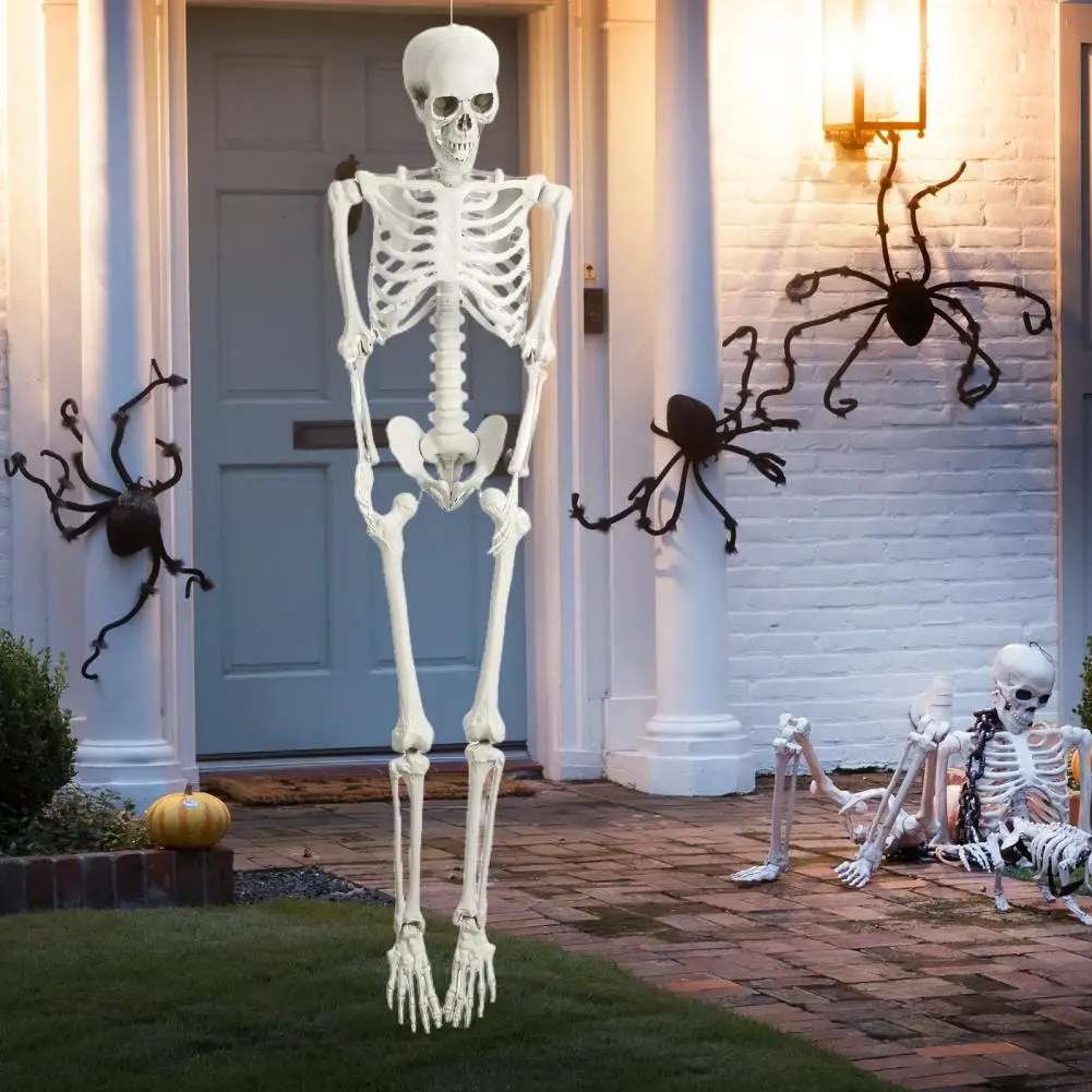 5.4FT Poseable Skeleton Prop, Movable Joint Skeleton Decoration, Life ...