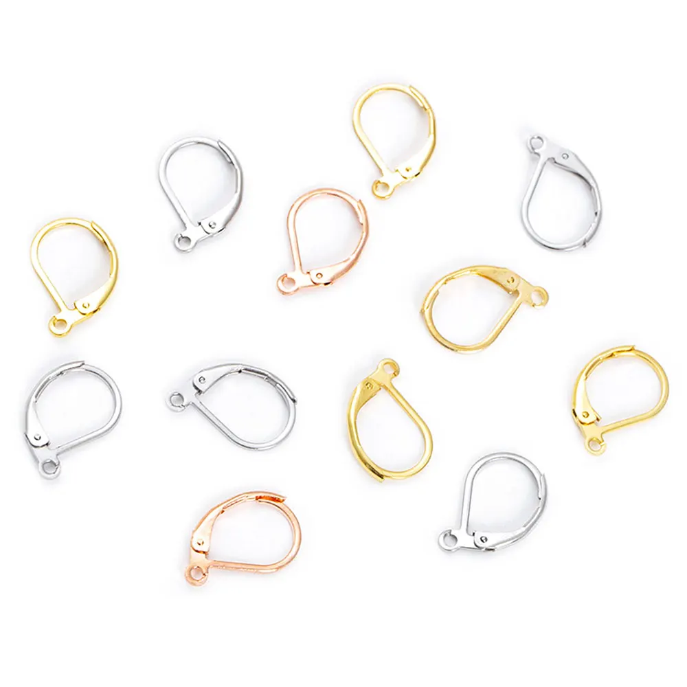 20Pcs-Stainless-Steel-French-Earring-Hooks-Lever-Back-Open-Loop-Earring ...