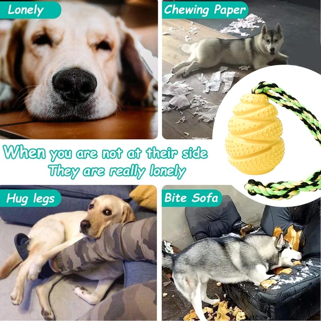 Puppy Hug Memes