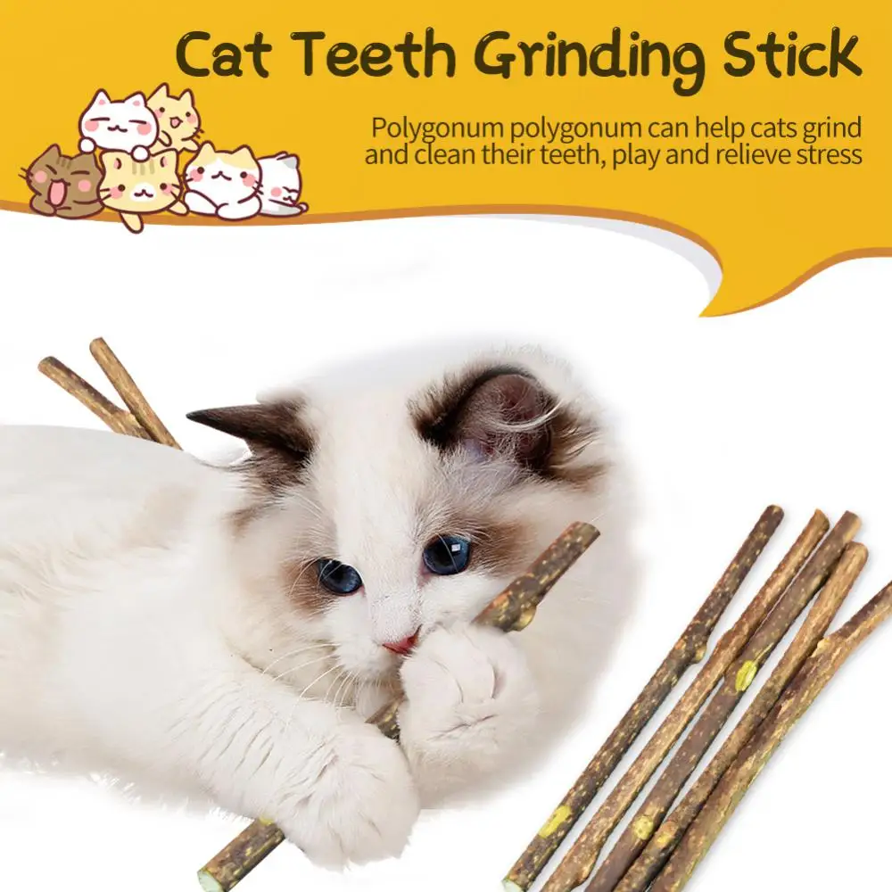 5Pcs-Natural-Green-And-Healthy-Cat-Snacks-Sticks-Pet-Cat-Toys ...