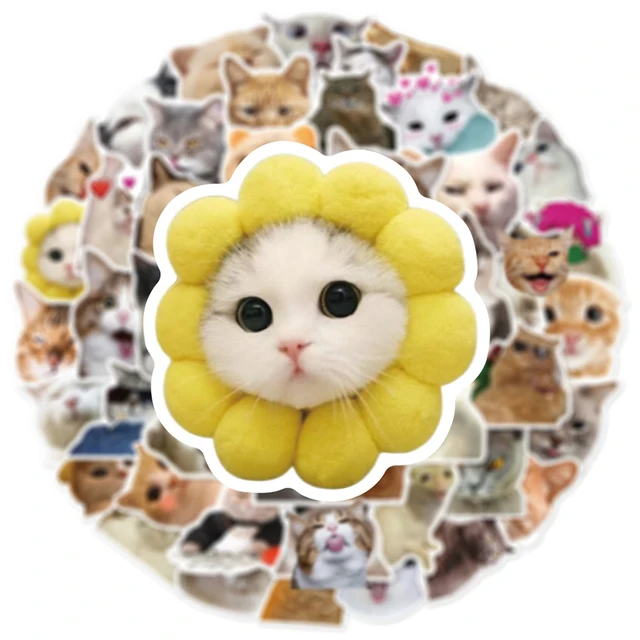 Full Katt Meme Katt Williams WTF Meme Meme Generator Imgflip