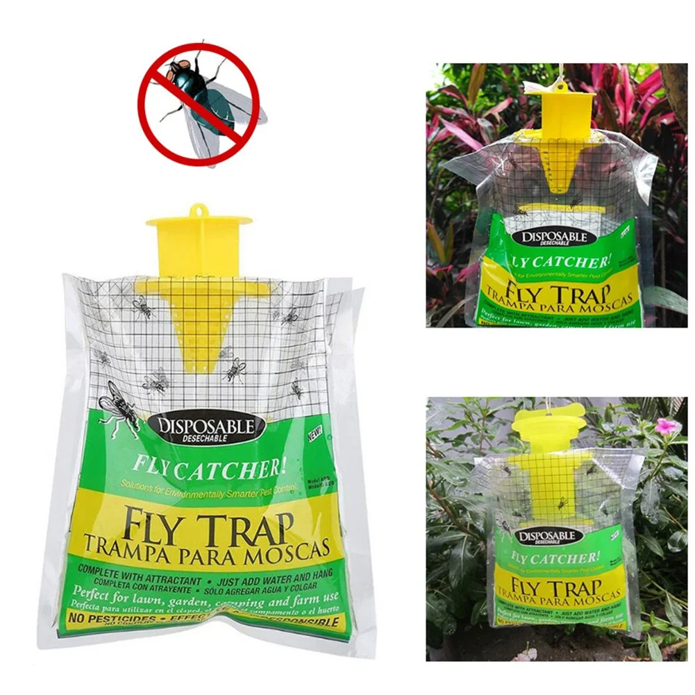 Hanging Flies Flytrap – Everyday Garden
