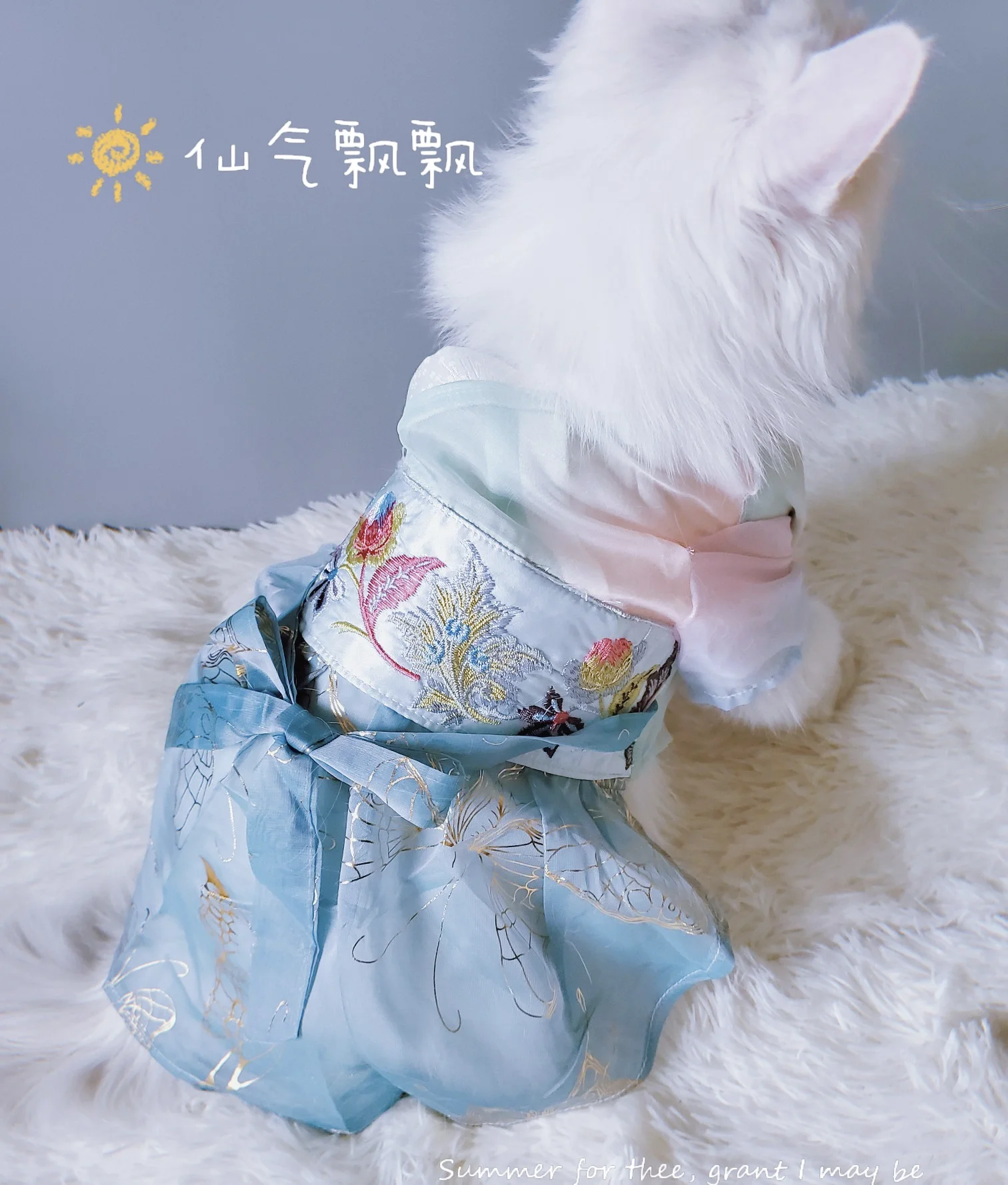 Original-Pet-Hanfu-Cat-and-Dog-Clothes-Antique-Chinese-Style.png