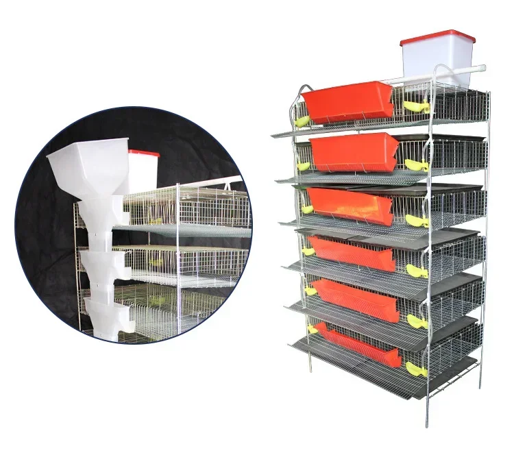 Poultry-Farming-Quail-Brooder-Cage-Quail-Cages-For-Egg-Production-Quail ...