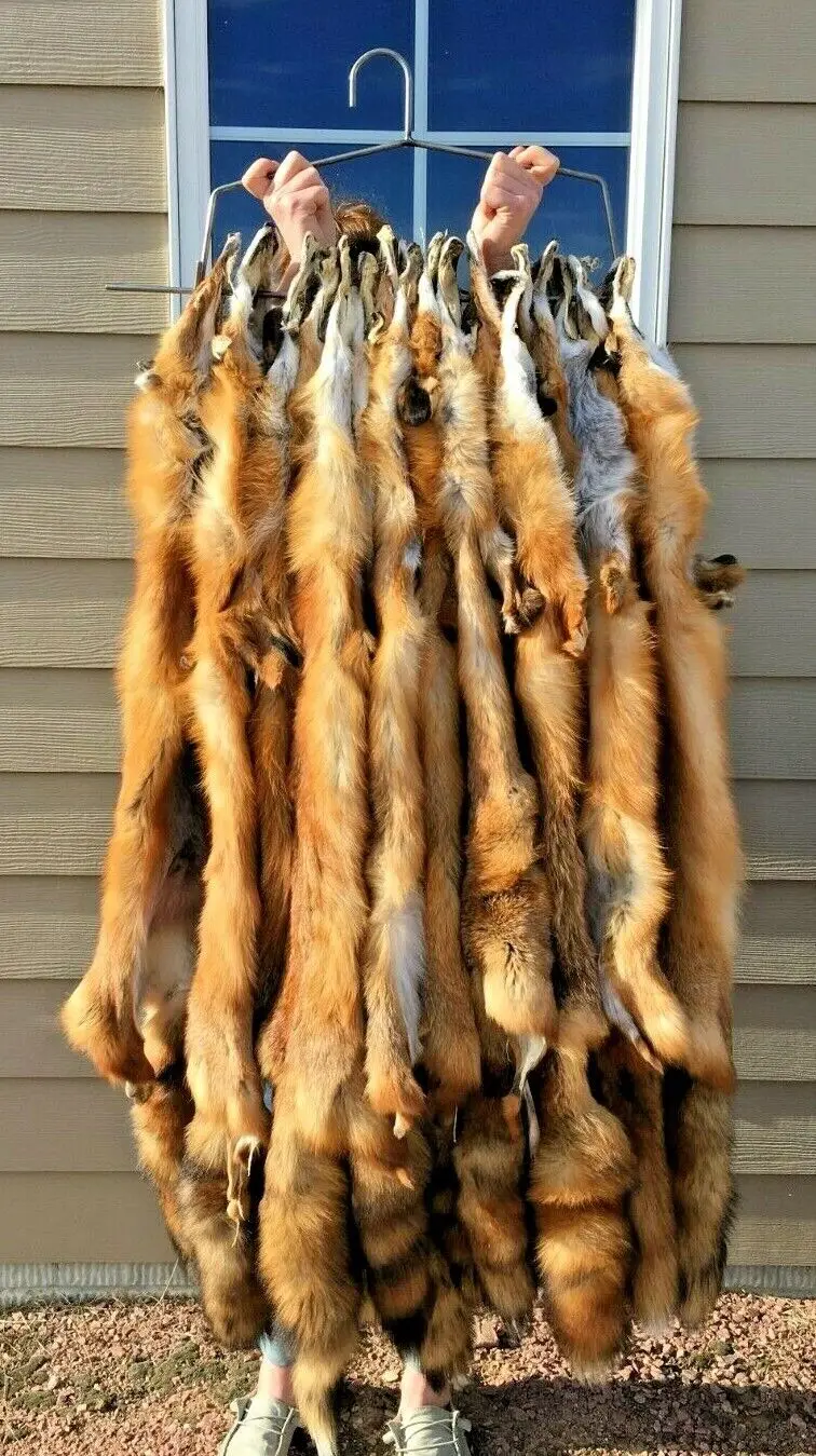 Natural-Tanned-Pelt-Red-Fox-Hide-Fur-Animal-Skin-Pelt-for-Plush-Charm ...