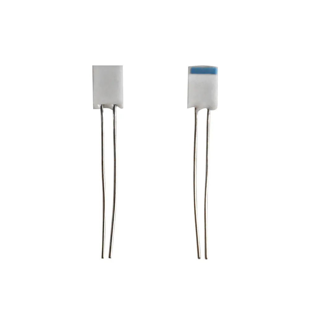 Small Rtd Temperature Sensor