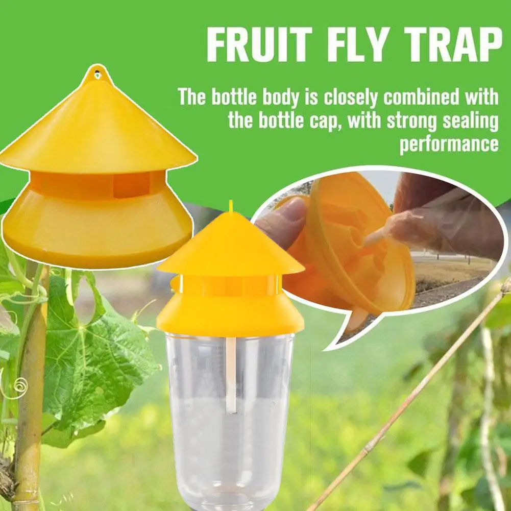 Fruit-Fly-Trap-Killer-Yellow-Plastic-Drosophila-Trap-Fly-Products ...