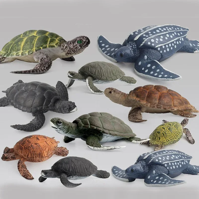 10-Soorten-Simulatie-Schildpad-Figuur-Verzamelbare-Speelgoed-Schildpad ...