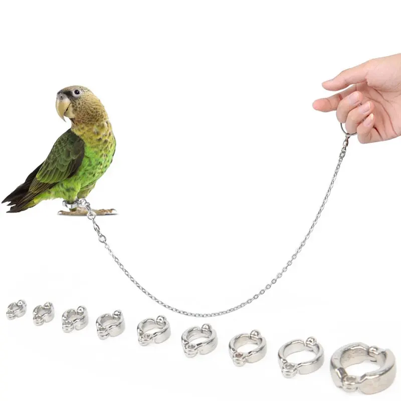 50cm-Stainless-Steel-Bird-Parrot-Foot-Chain-Swivel-Buckle-Pet-Leg-Ring ...