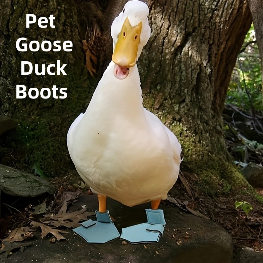 S889c36c89d794c738b112ba6c9ced2b2s.jpg