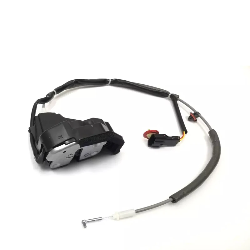 Door Lock Latch Rear Left Right 81410A9010 81420A9010 For Sedona ...