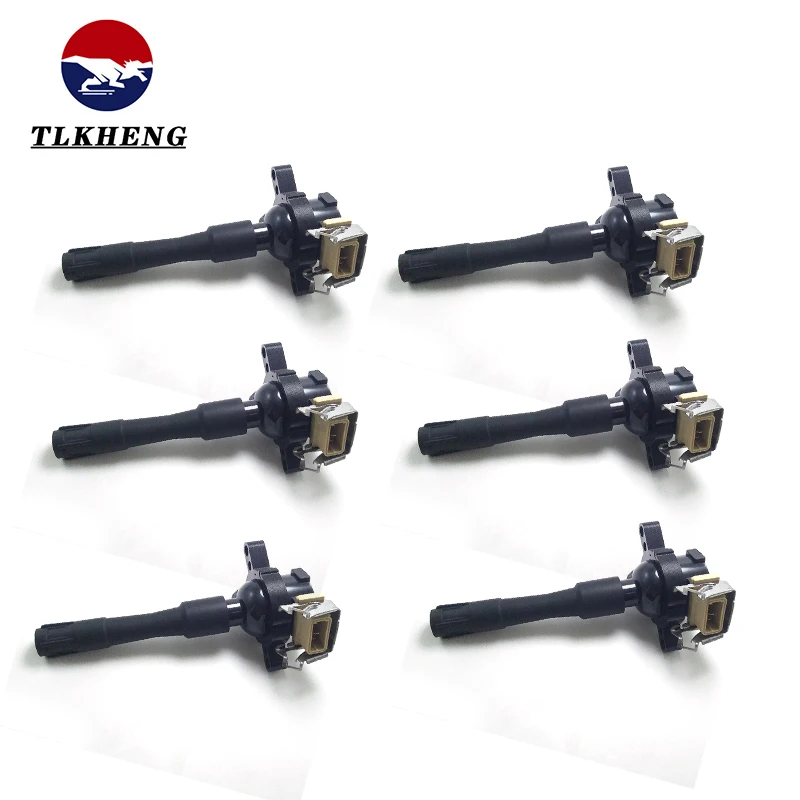 12131748018 6 قطعة جديد lgnition لفائف ل BMW E46 E36 E39 E38 Z3 X5 E53 ...