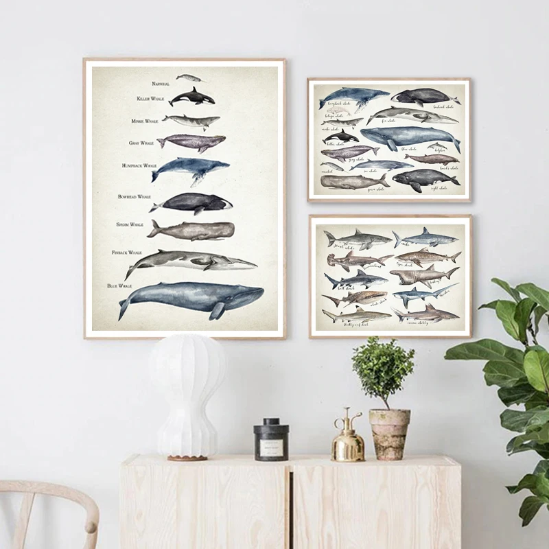 Whales Size Comparison Chart Print Whale Watercolor Painting Child ...
