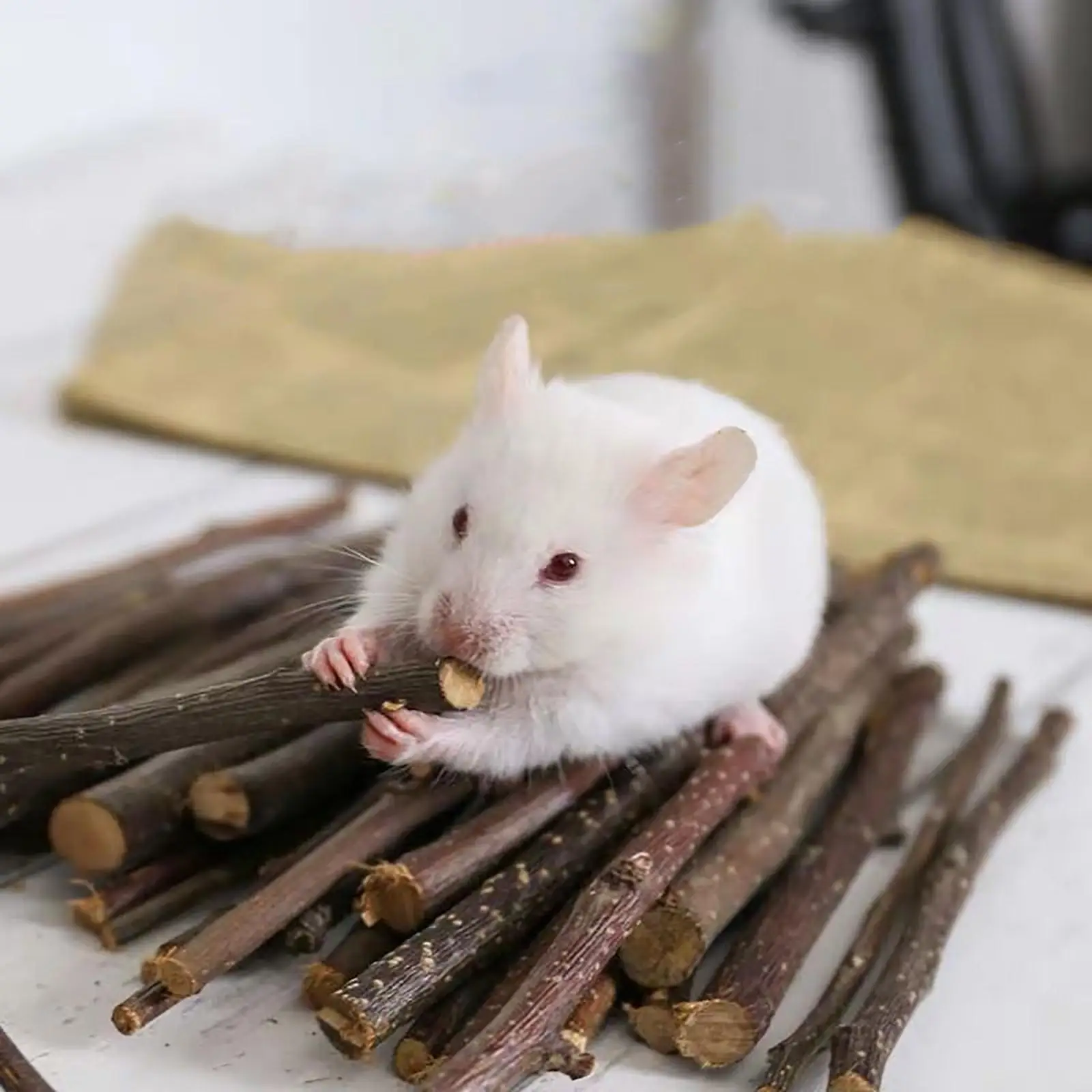 Hamster Chew Sticks