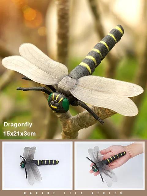 Store Home Products Summer Sale Feedback