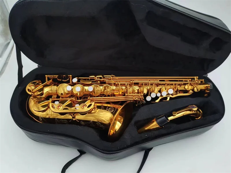 axophone-Alto-E-sax-Musical-instrument-High-Quality-With-Case-All ...