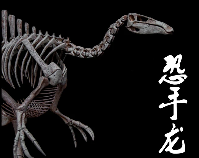 Guanlong Skeleton