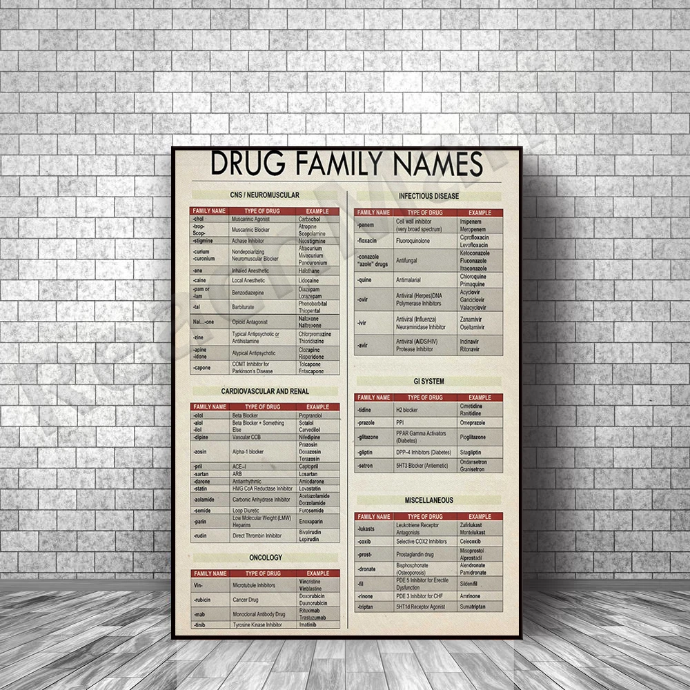 Drug Family Name Poster, Pharmacist Art, Doctor Pharmacy Wall Decor ...