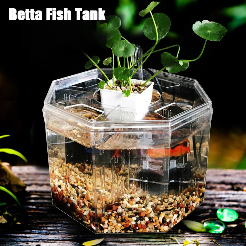 Desktop-Betta-Fish-Tank-Four-Grids-Acrylic-Isolation-Box-Fish-Tank ...