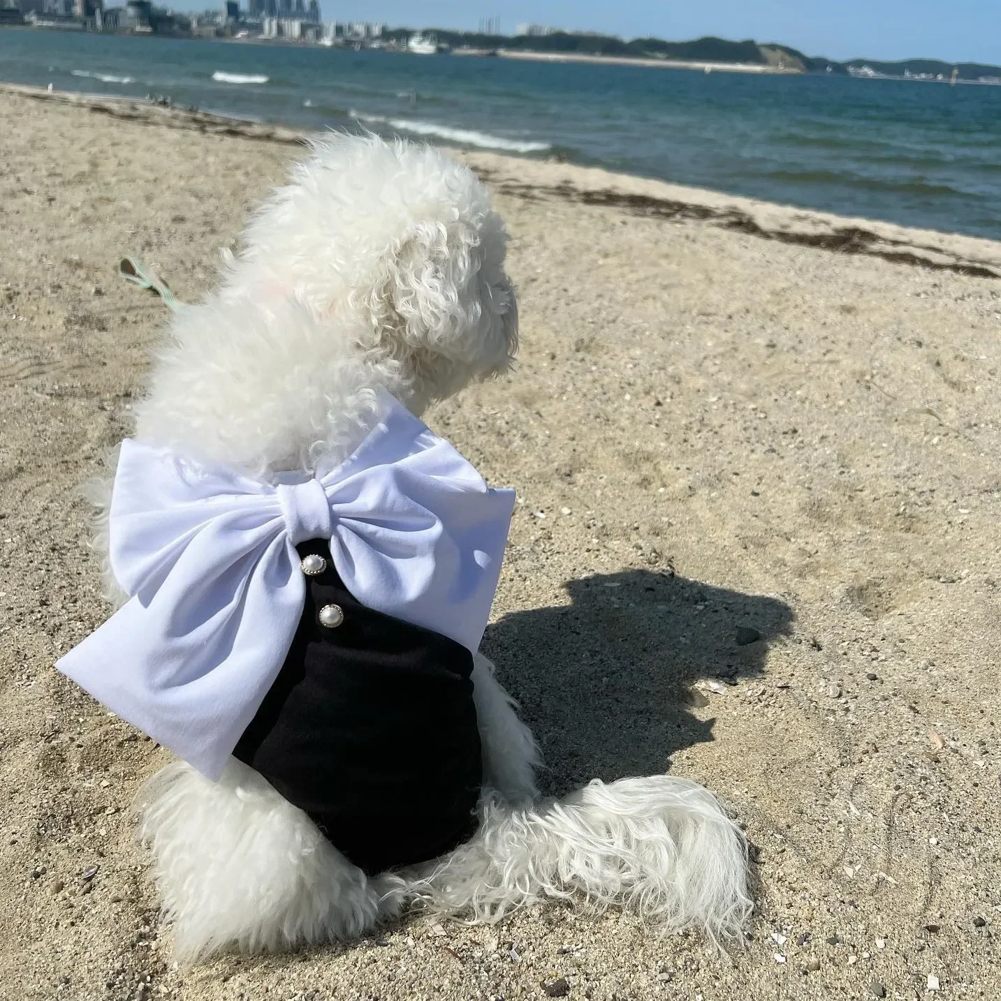 New-INS-Dog-Bikini-Bow-Swimwear-Elastic-Lycra-Ice-Tank-Top-Black-and ...