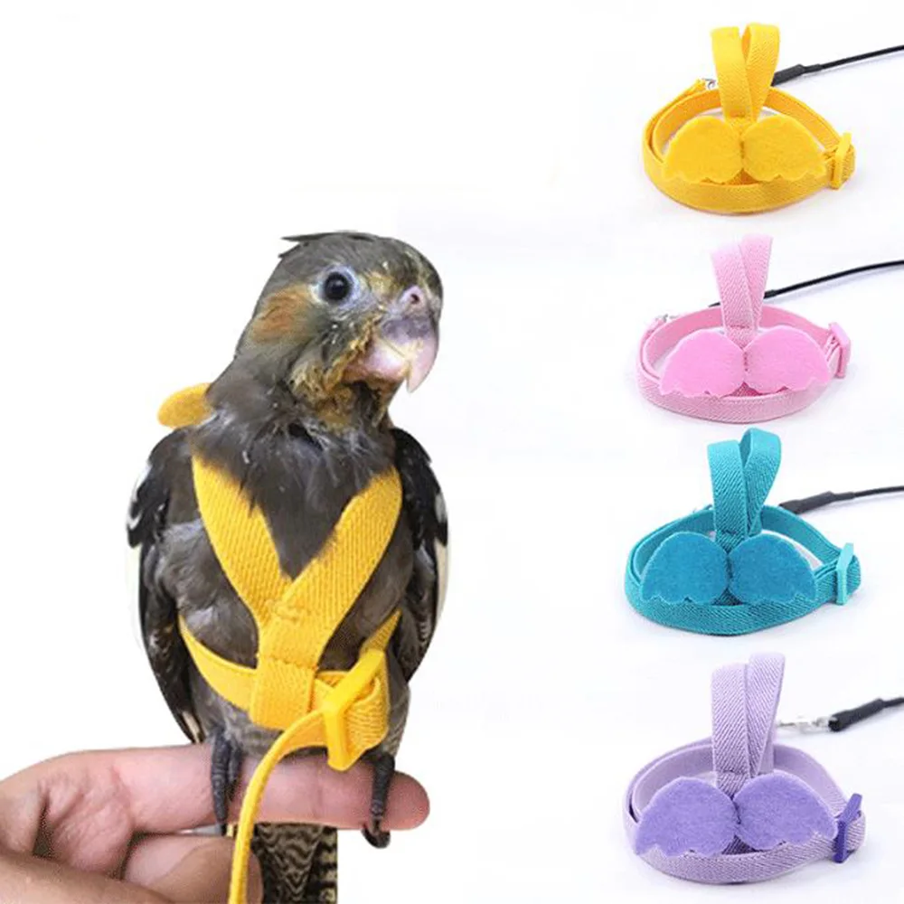 Parrot-Bird-Flying-Traction-Rope-Bird-Harness-and-Leash-Adjustable-Anti ...