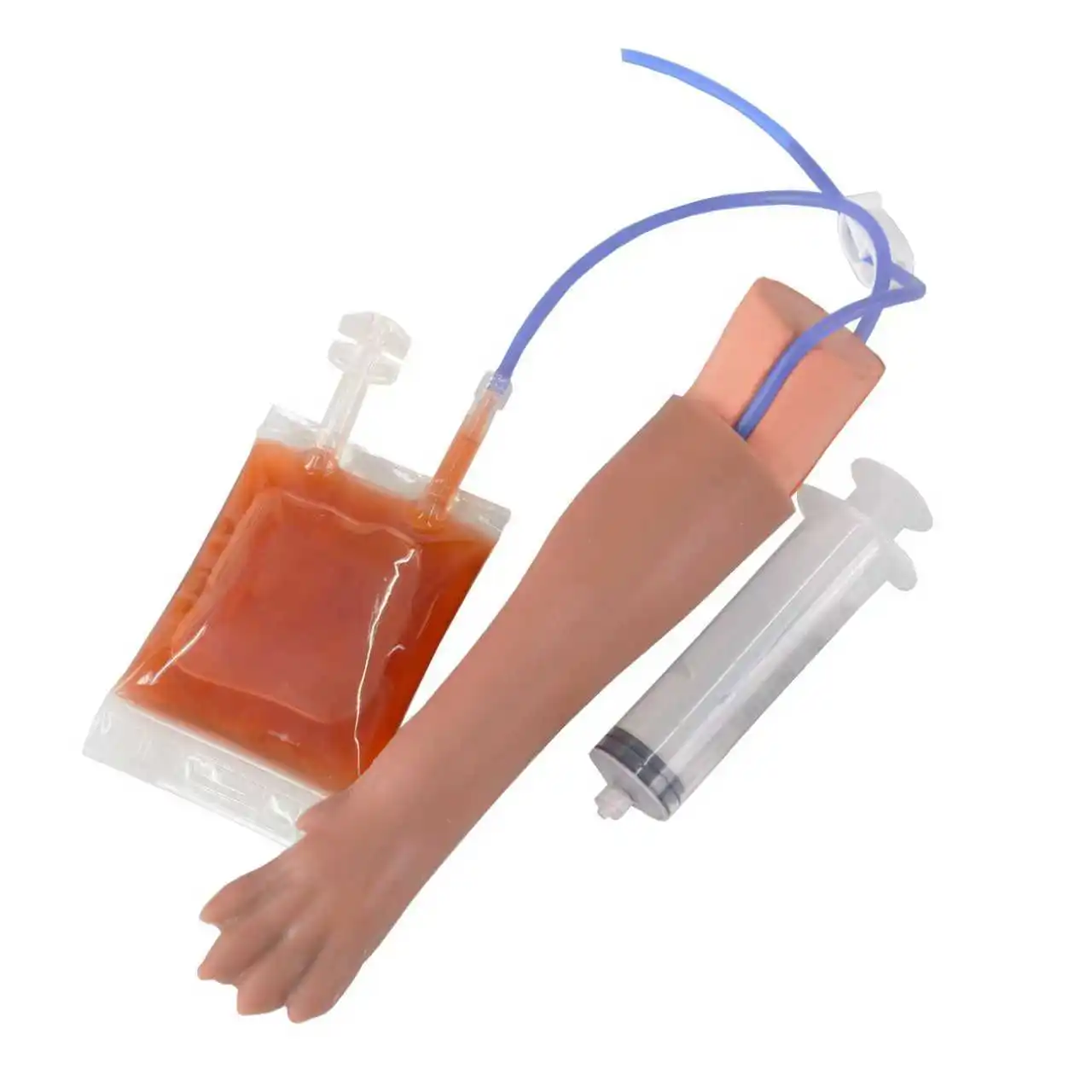 Canine IV Blood Draw & Catheterization Leg – Veterinary IV Practice Kit ...