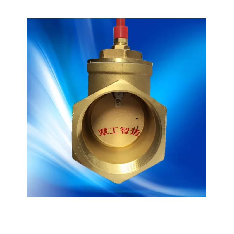 Water flow switch, high temperature reed switch, induction switch DN80 ...