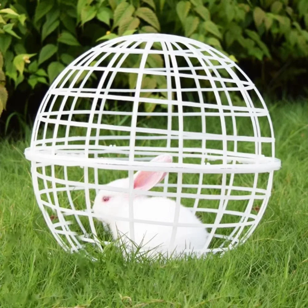 Everything You Need to Know About Movable Chicken Tunnels