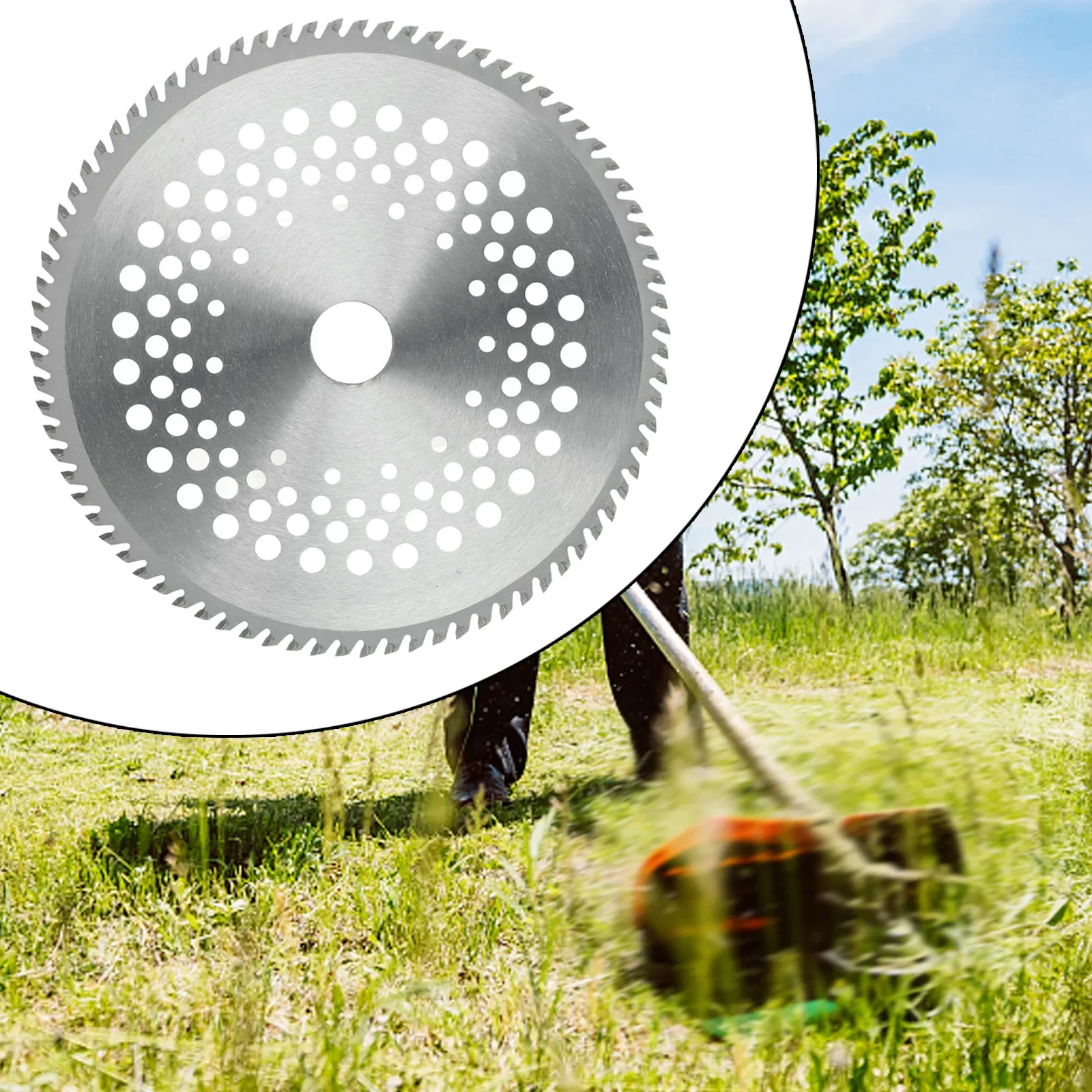 8-Inch-80T-Brush-Cutter-Blade-Tree-Trimmer-Saw-Blade-Carbide-Lawn-Mower ...