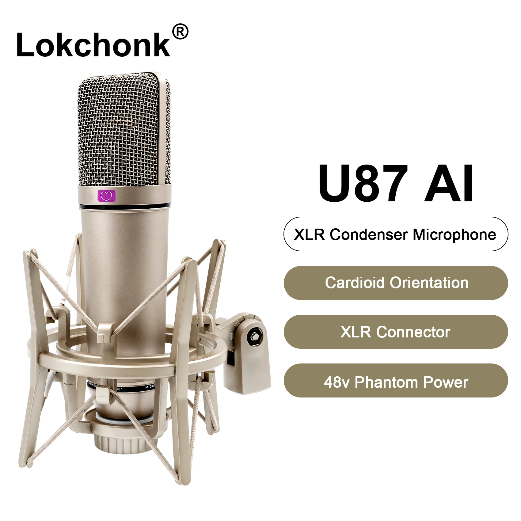 U87-AI-XLR-Condenser-Microphone-Professional-Cardioid-Studio-Mic-for ...
