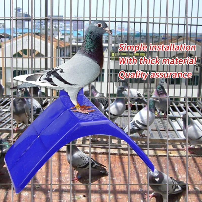 Bird-Pigeon-Perch-Roost-Blue-Dwelling-Birds-Stand-Dove-Frame-V-Perches ...