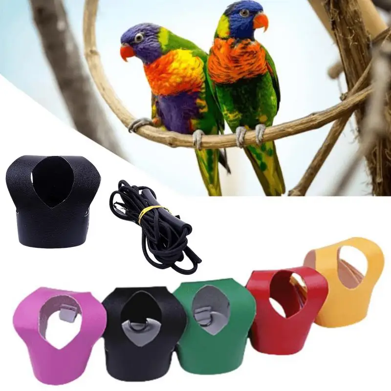 Bird-Harness-Parrot-Leash-Bird-Vest-Bird-Training-Traction-Rope-Chest ...