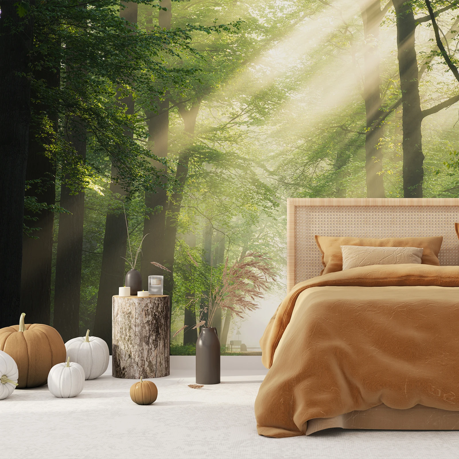 Tyndall Effect In Forest