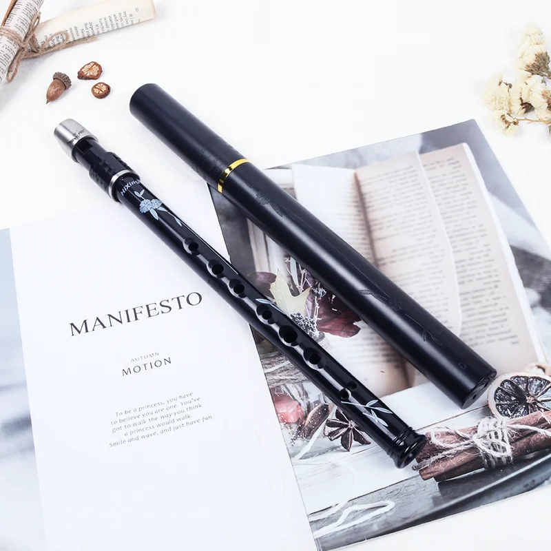 Flauta-Apito-com-Case-6-Buracos-Irish-Tin-Penny-C-Flauta-D-Key-Resina ...