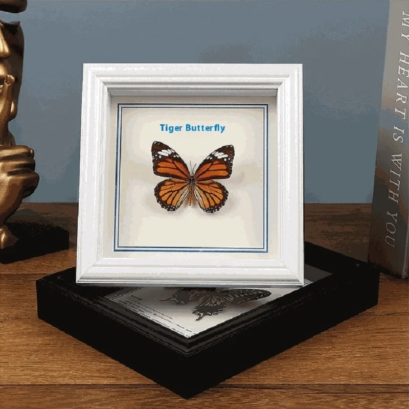 European Style Butterfly Box Frame Hollow Insect Display Frame with 3D ...