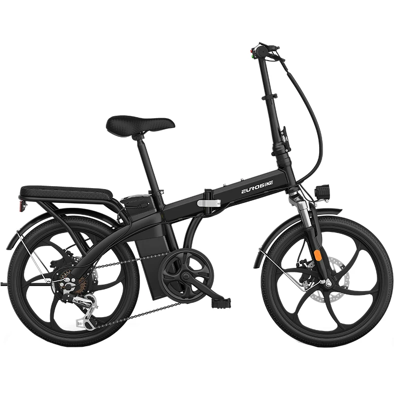20-Inch-6-Variable-Speed-Electric-Bike-48V-300w-Motor-Easy-To ...